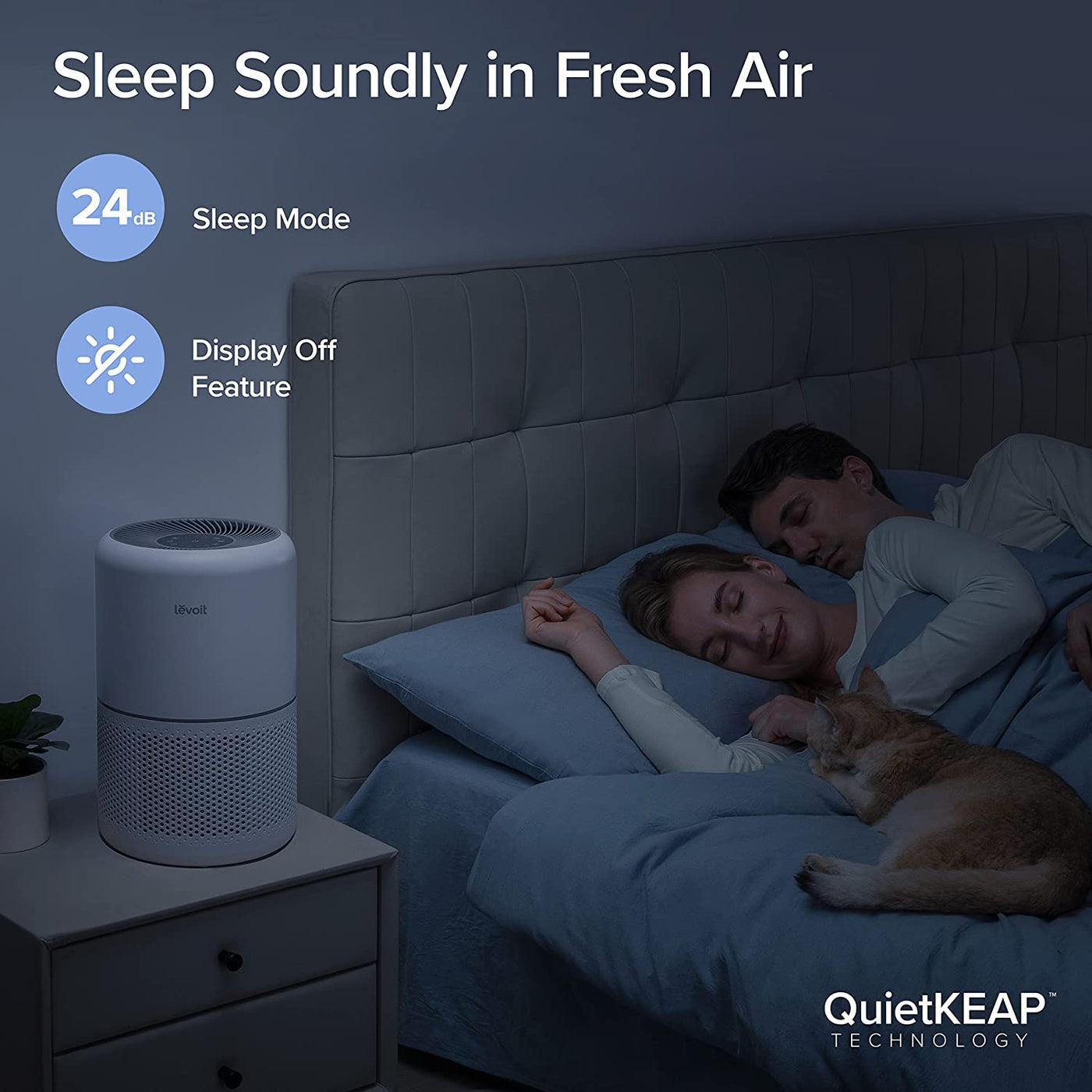 Levoit Core 300 Air Purifier | True HEPA Filtration & Quiet
