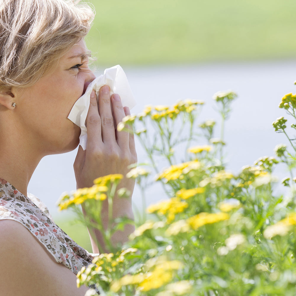 Levoit Tower Fans | Powerful, Quiet & Versatile Cooling Solutions for ...