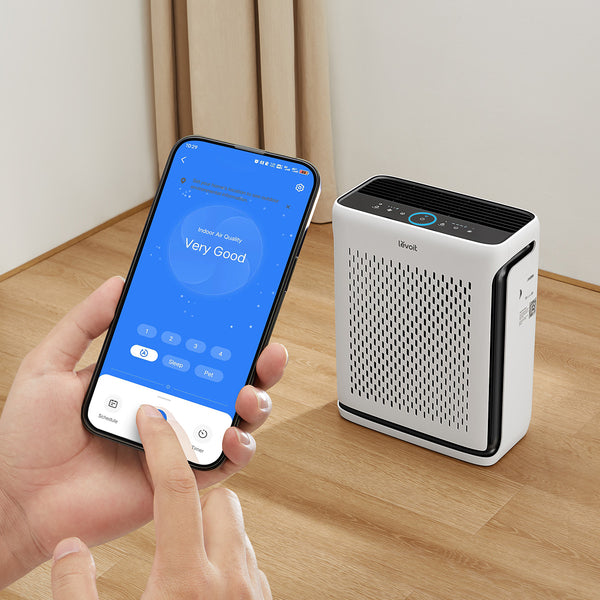 How to Maintain Your Air Purifier
